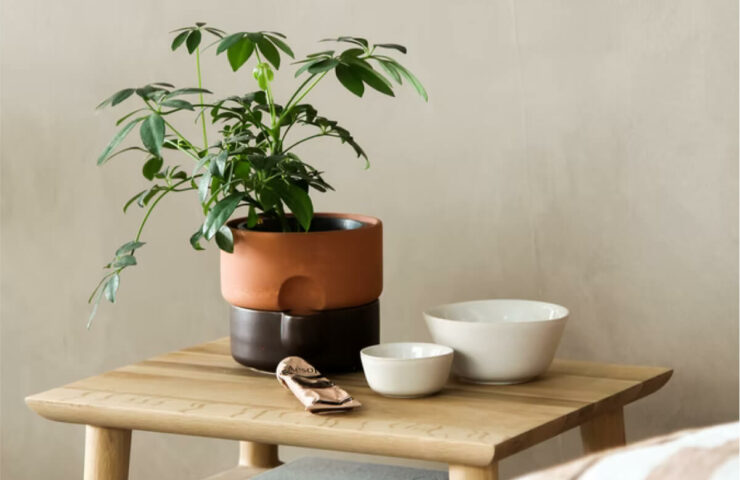 Paint – Official HitachiWand.com™ | Buy 100% Authentic Hitachi ®Magic ...